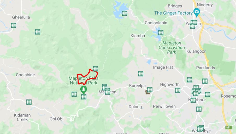 Mapleton National Park. Piccabeen Circuit. 7.6km