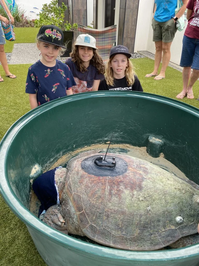 ‘Truly incredible’: Why this beautiful turtle special