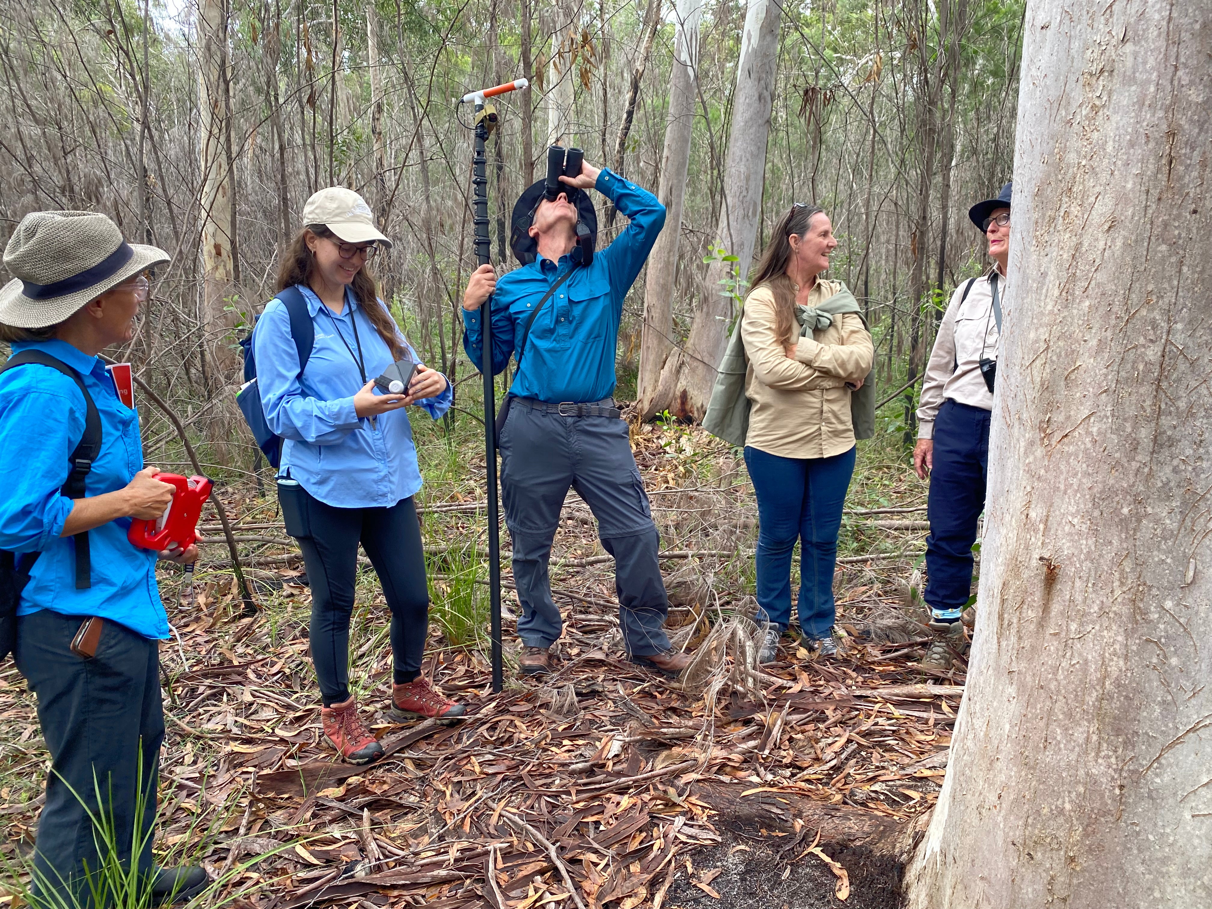 Nest box monitoring citizen science project | Sunshine Coast Council