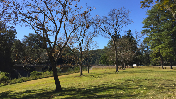 Little Yabba Rest Area | Sunshine Coast Council