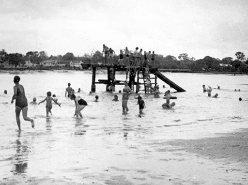 Cotton Tree - Black Swan Park