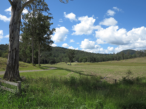 Conondale Memorial Recreation Park Master Plan | Sunshine Coast Council