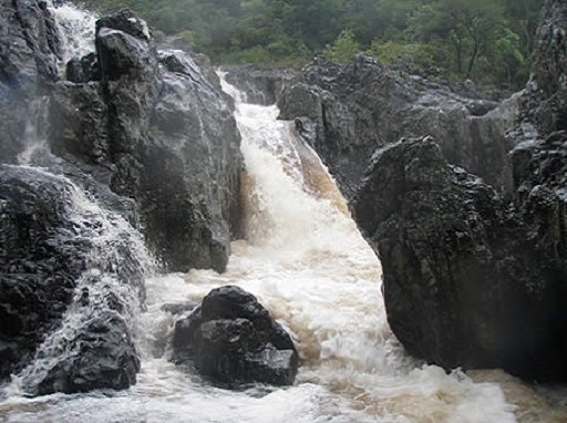 Know your local creek and catchment: Maroochy River