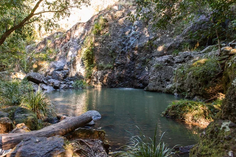 Cilento Park & Bushland Conservation Reserve