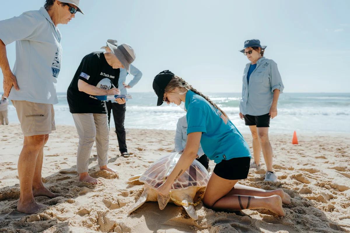 Sunshine Coast Marine Turtle Conservation Plan