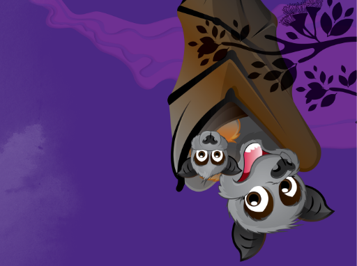 Importance of flying foxes | Sunshine Coast Council