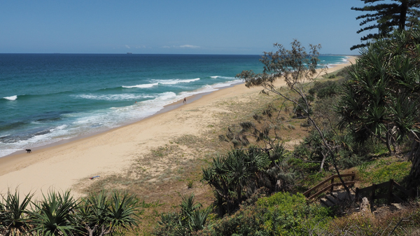Point Cartwright Beach | Sunshine Coast Council