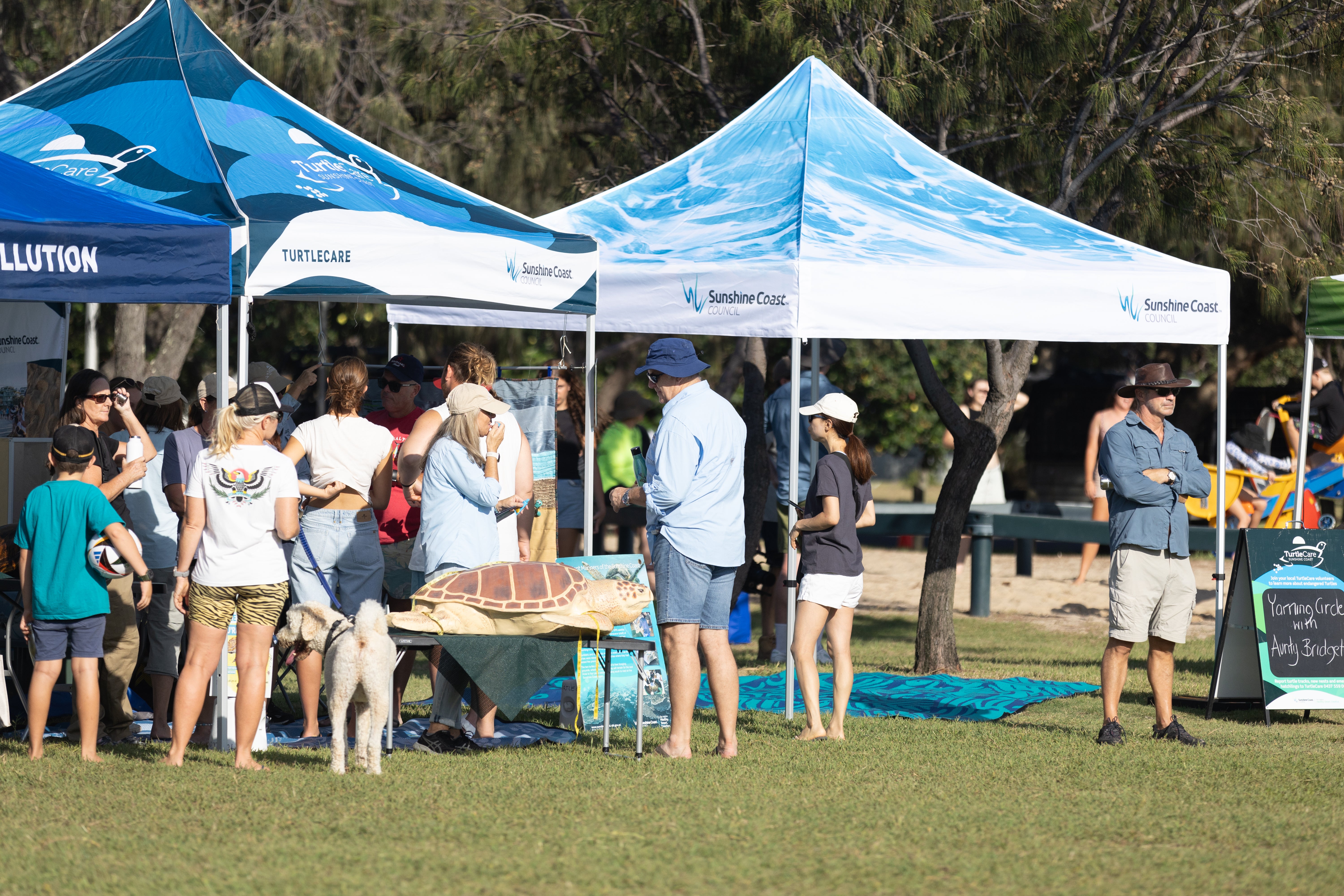 How you can help our hatchlings thrive | OurSC