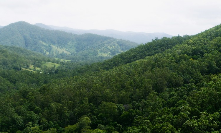 Natural resource management and conservation techniques